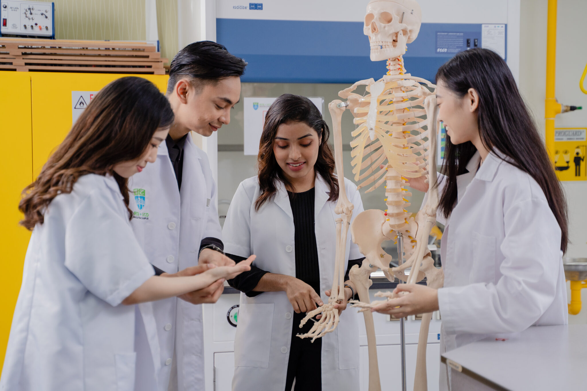 Medicine vs Biomedical Science: Which Medical Degree to Study? | RCSI ...